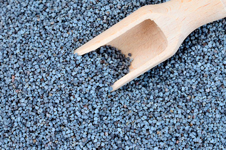 Мак пищевой: купить оптом в интернет-магазине «АБ-МАРКЕТ»