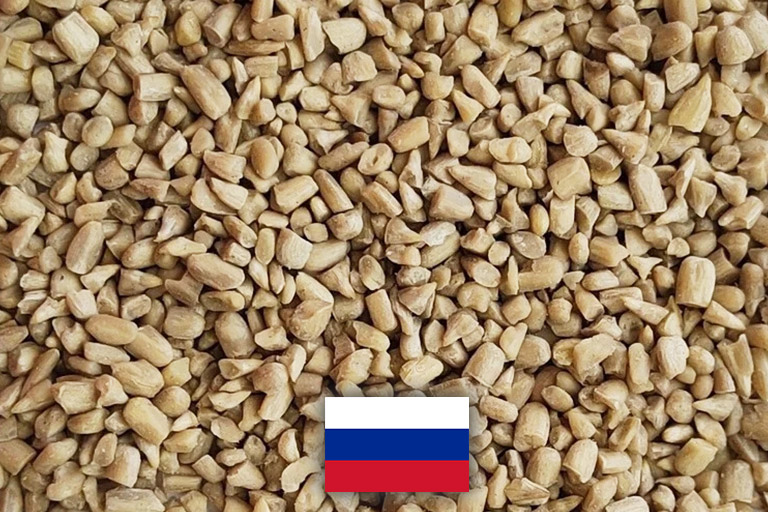 Ядра подсолнечника сушеные лом— купить оптом ⭐ Компания «АБ-МАРКЕТ»